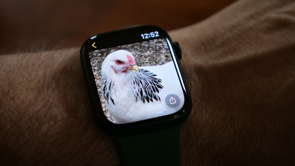 How To Change Background On Apple Watch Caldwell Acal1976
