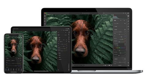 The best photo organizing software | Digital Camera World