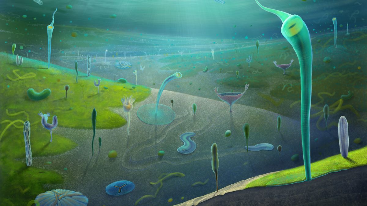 Fossil site in China reveals bevy of complex creatures lived prior to ...