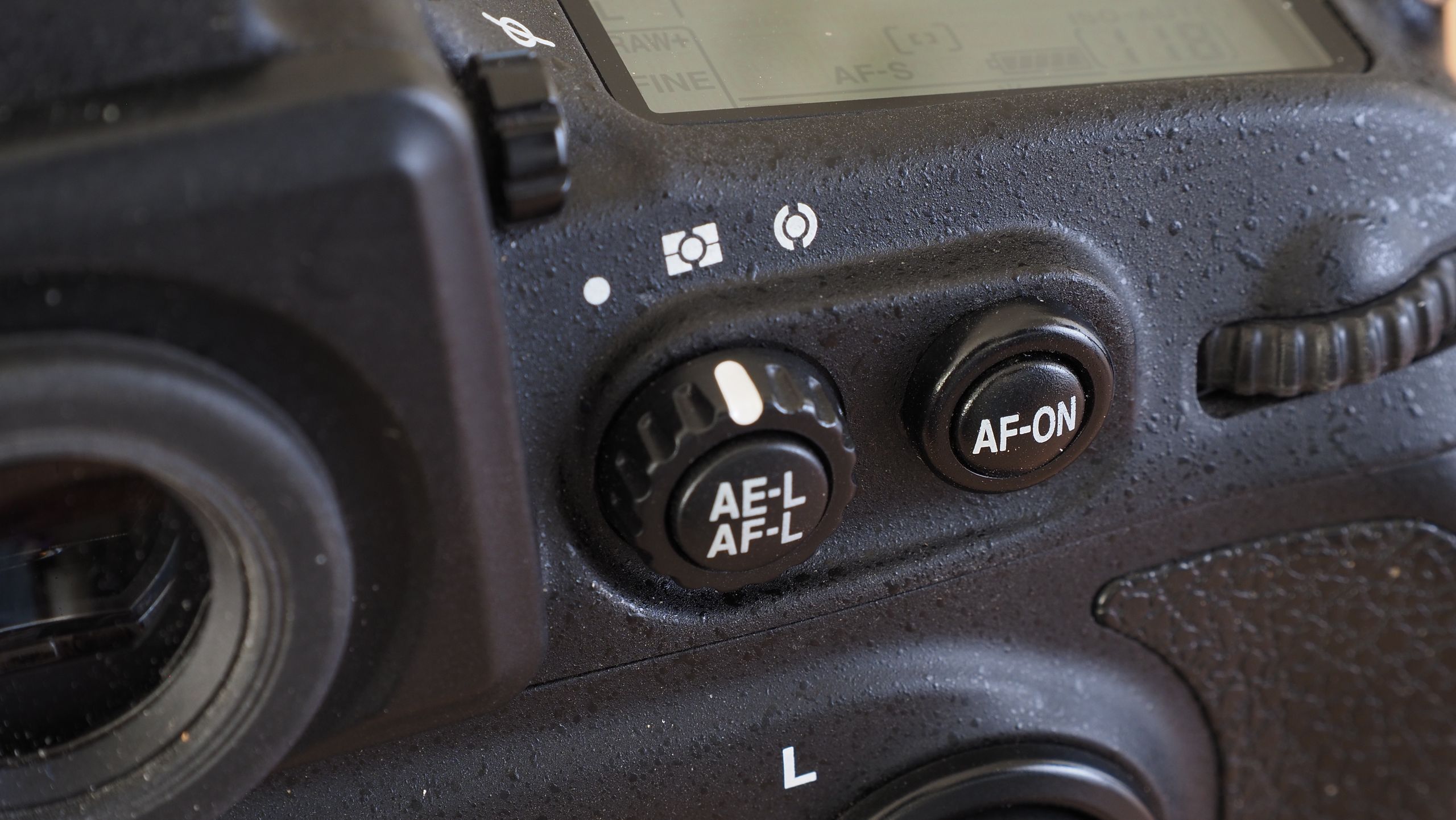 Why did I ignore back button focus on my camera for so long? | Digital ...
