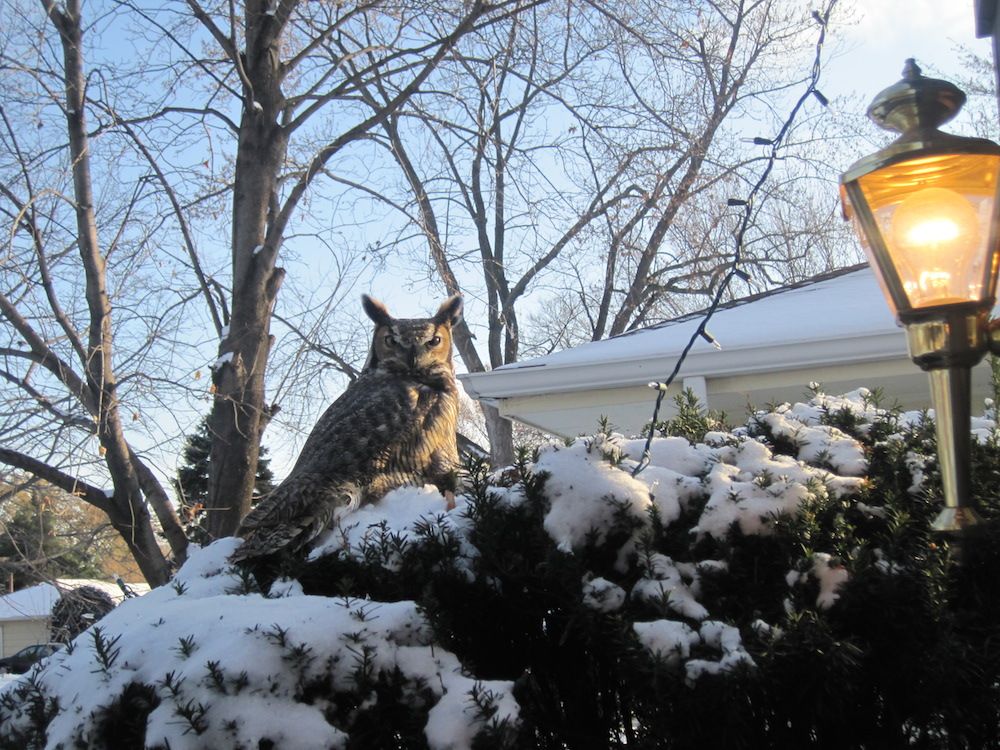 6 Times Holiday Decorations Turned into Disasters | Live Science