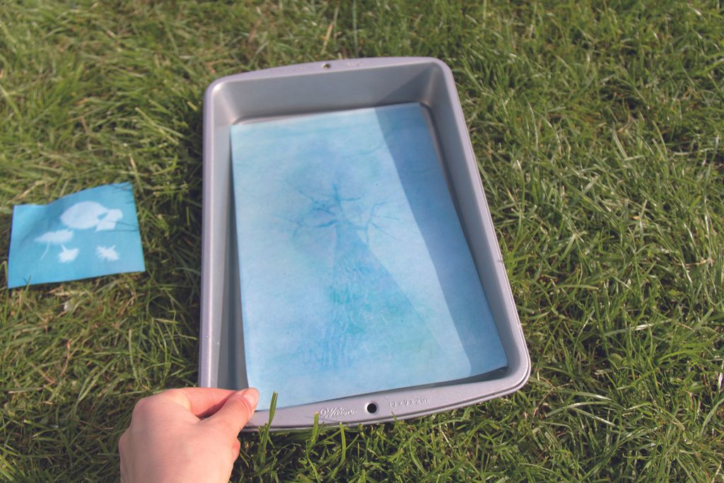 Home photography ideas: How to make a sunprint in just 30 minutes ...