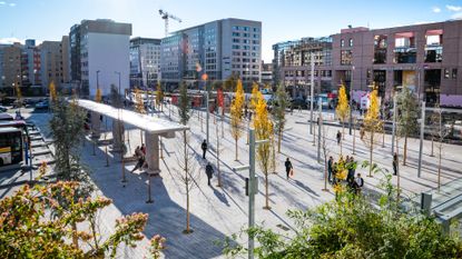 Landscape architect Bas Smets on re-landscaping Notre-Dame | Wallpaper*