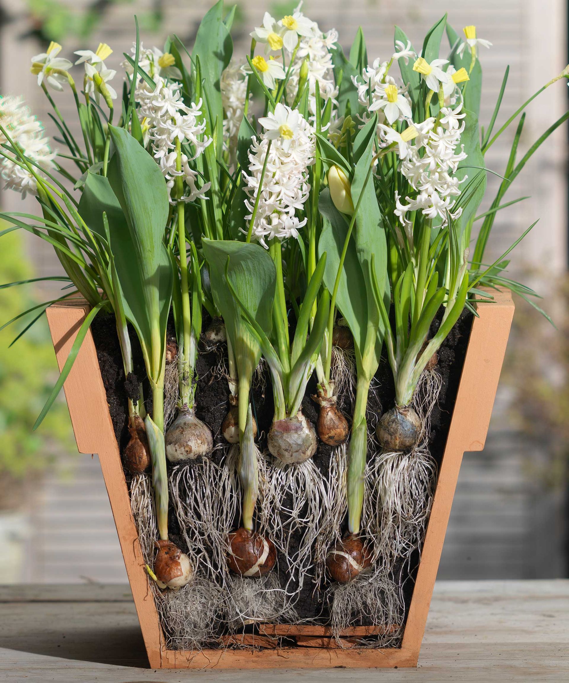 Bulb lasagne ideas and combinations to try: 10 looks for eye-catching ...