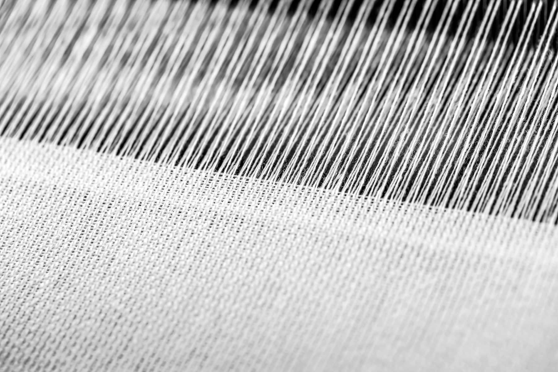 Track your Loro Piana sweater from farm to store | Wallpaper