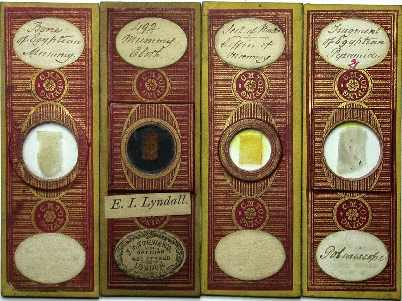 Nature Under Glass: Gallery of Victorian Microscope Slides: Page 3 ...