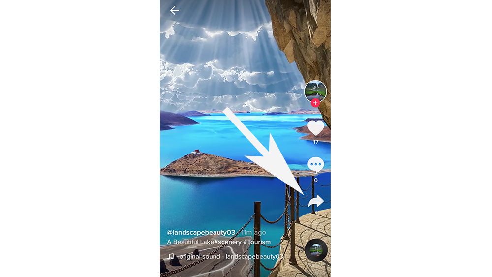 How to use green screen on TikTok | Creative Bloq