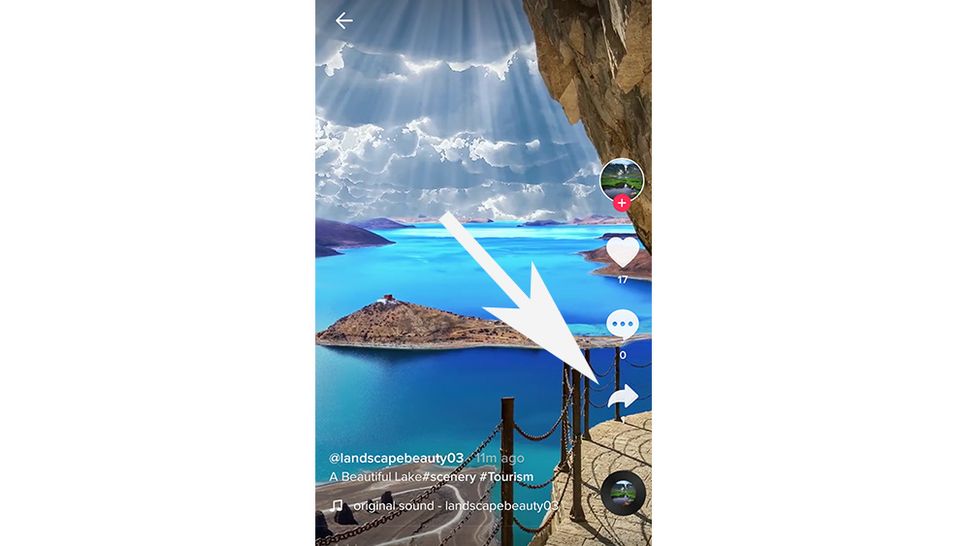 How to use green screen on TikTok | Creative Bloq