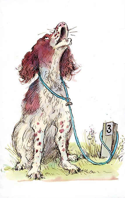 Nightmare stories from some of the naughiest gundogs in Britain ...