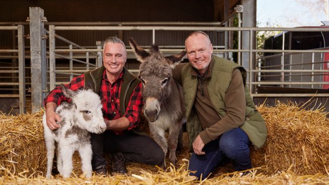 Springtime on the Farm 2025: release date, interview and all we know ...