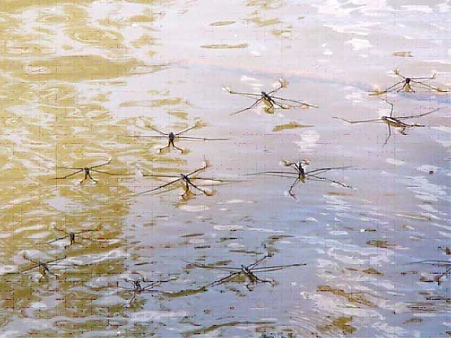 Articles by: Dave Mosher | Live Science