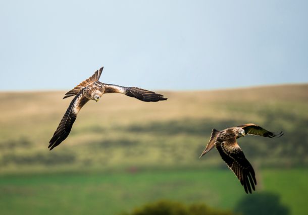 10 camera settings you need to learn to master your Nikon | TechRadar