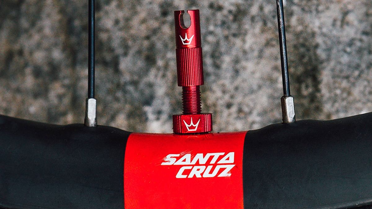 Tubeless mountain bike tires – everything you need to know | Bike Perfect