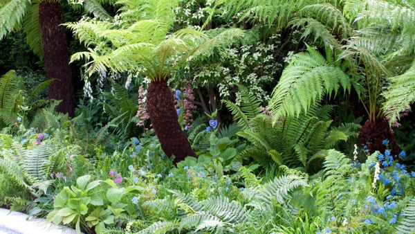 Georgian garden design: 5 key elements for a modern backyard | Homes ...