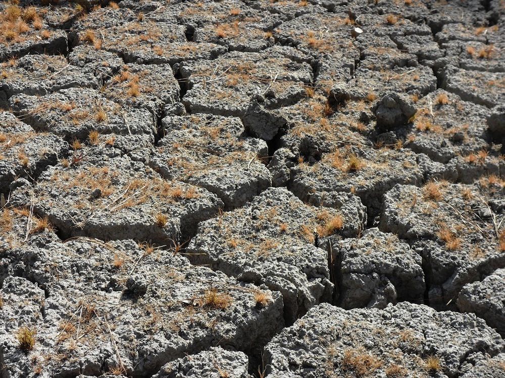 Dry and Dying: Images of Drought | Live Science