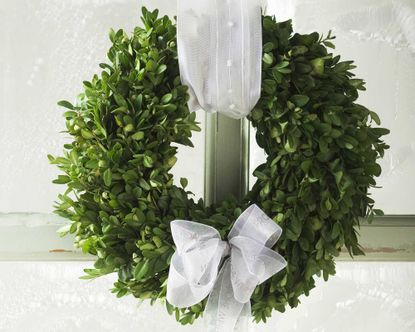 Boxwood wreath trend: recreate it in your home this season | Gardeningetc