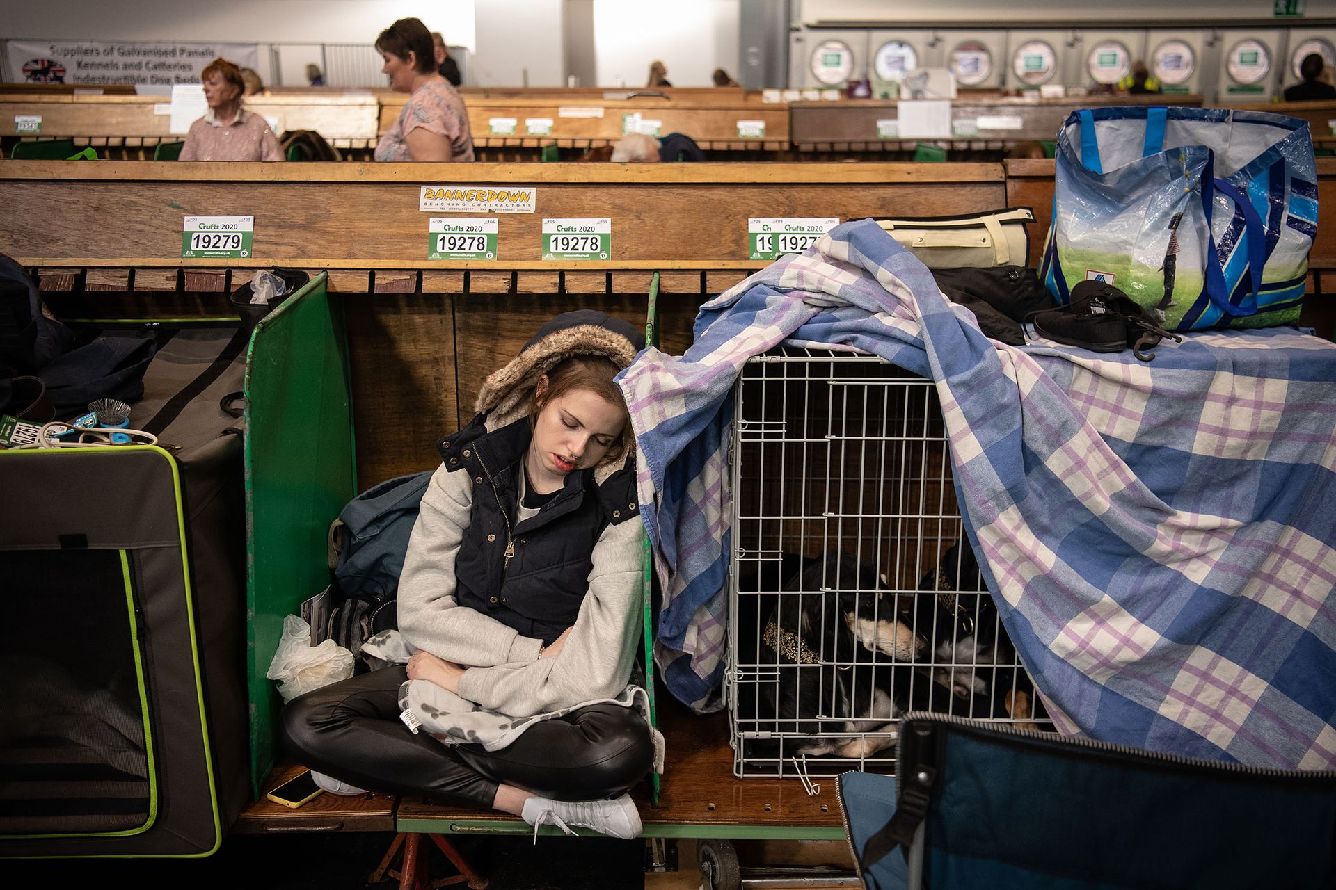 Crufts 2020: Best behind-the-scenes pictures from the iconic dog show ...