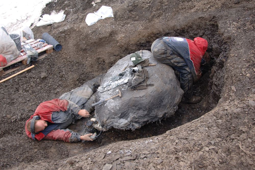 Image Gallery: Ancient Monsters of the Sea | Predator X | Live Science