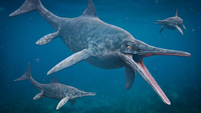 25 of the strangest ancient sea monsters | Live Science