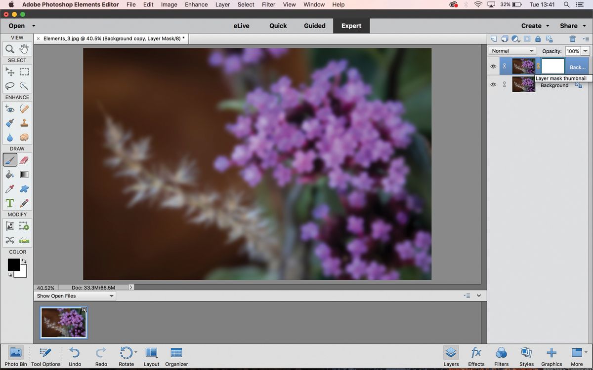 How to create a soft focus effect in Photoshop Elements | Digital ...