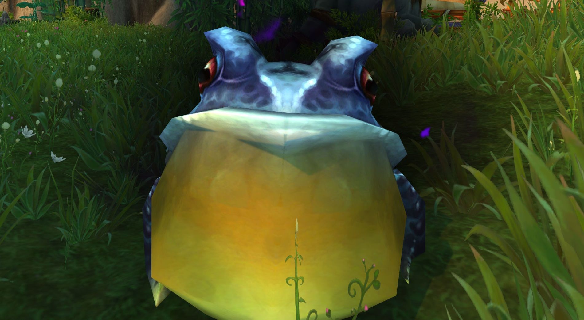 World of Warcraft: Mists of Pandaria Remix players went on a frog ...