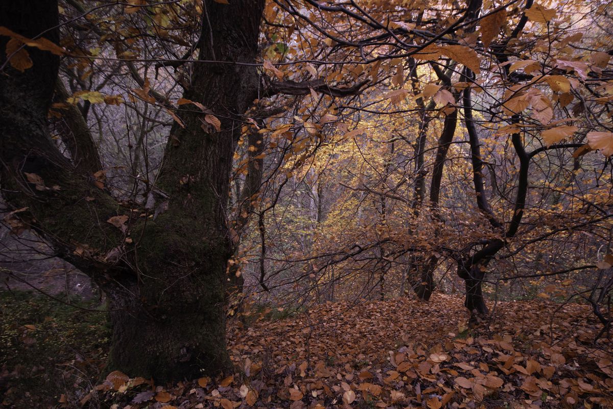 Photo therapy: the art of patience - why it's worth waiting! | Digital ...