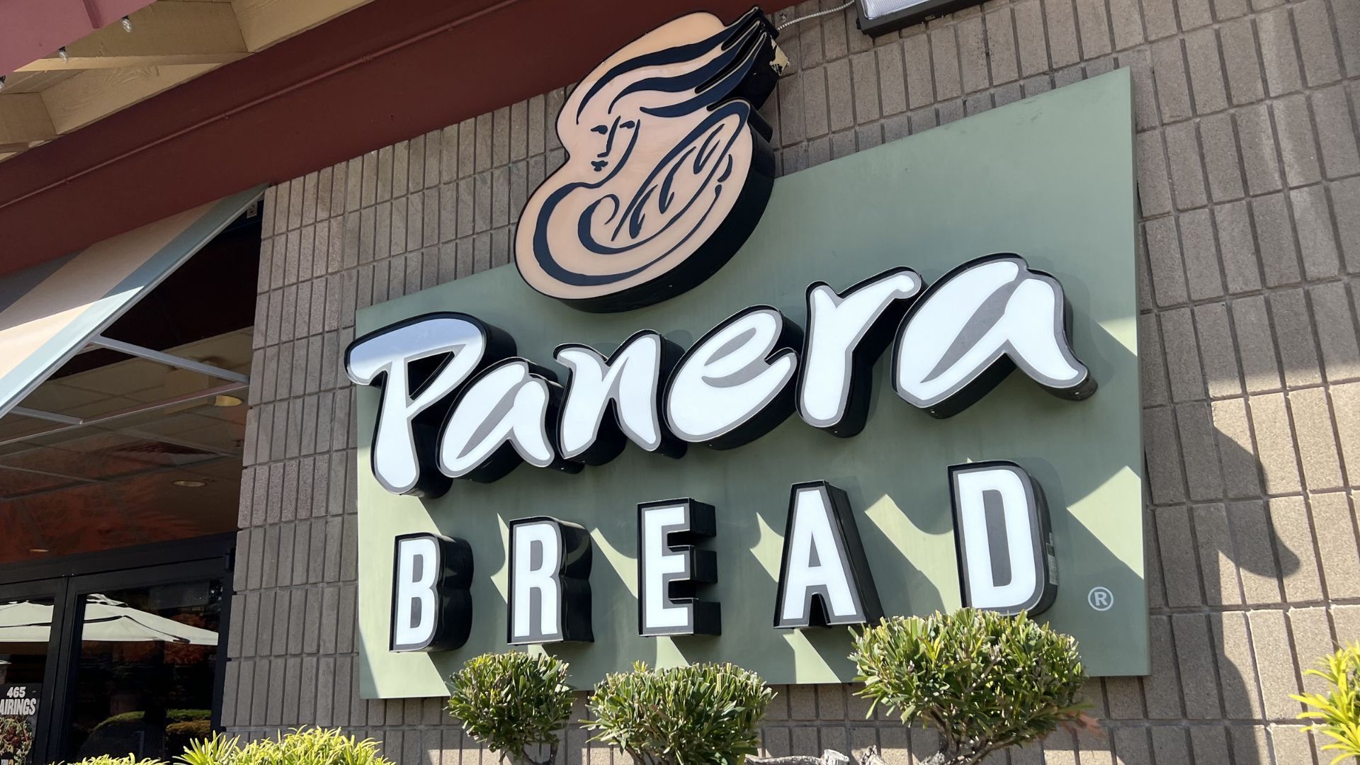 See pics of the Panera BAGuette bag the internet is obsessed with ...
