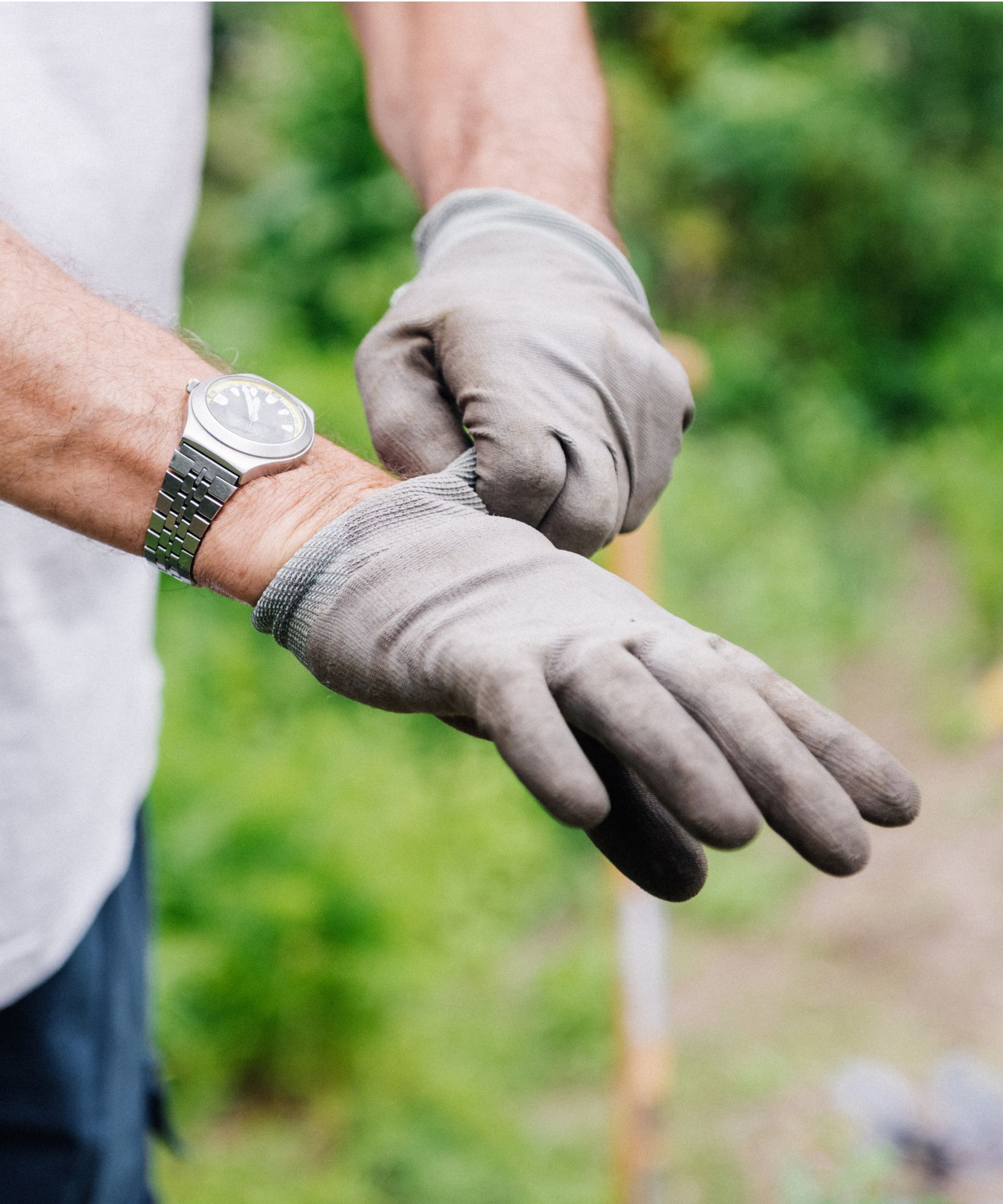 How to get rid of ivy on a fence: 3 simple steps | Homes and Gardens