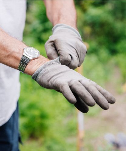 10 essential gardening tools every gardener needs | Homes and Gardens