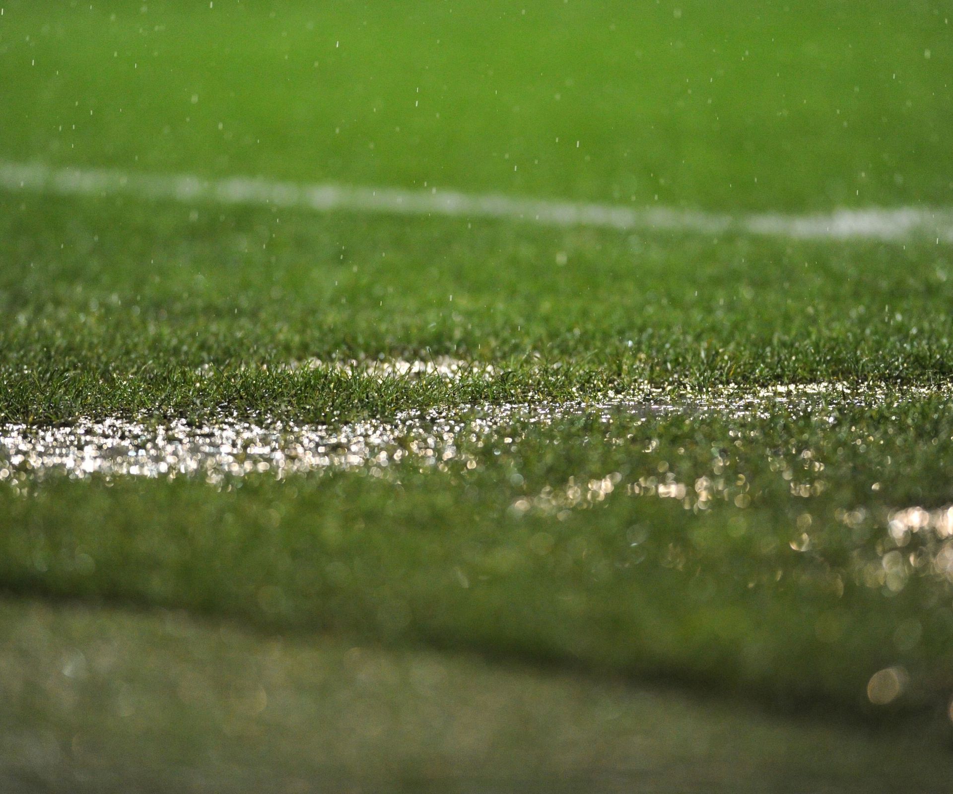 How to fix a waterlogged lawn: tips to rescue your garden | Homes and ...