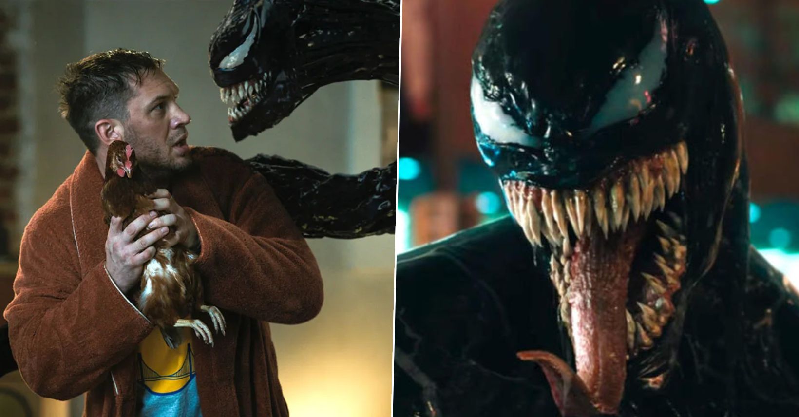 Venom 3 star teases "wild ride" as filming for the sequel comes to an ...