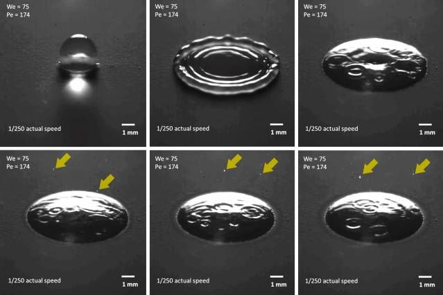 Why Rain Gives Off That Fresh, Earthy Smell | Live Science