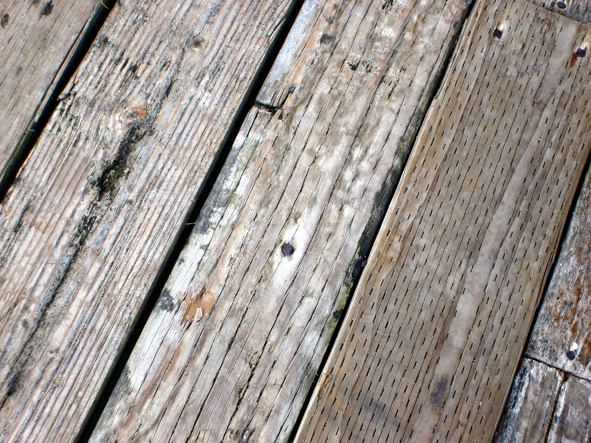 Creaky Floorboards: How to Fix and Banish Squeaks For Good | Homebuilding