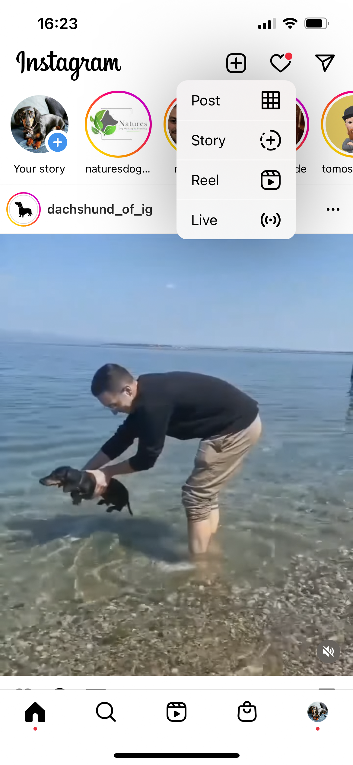 Learn how to use Instagram Reels | Digital Camera World