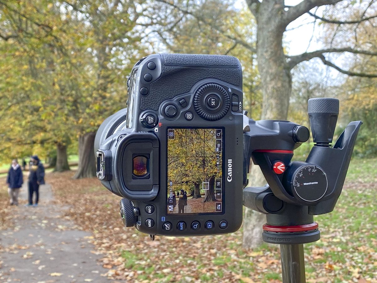 My old Canon DSLR and even older zoom lens are still awesome for fall ...