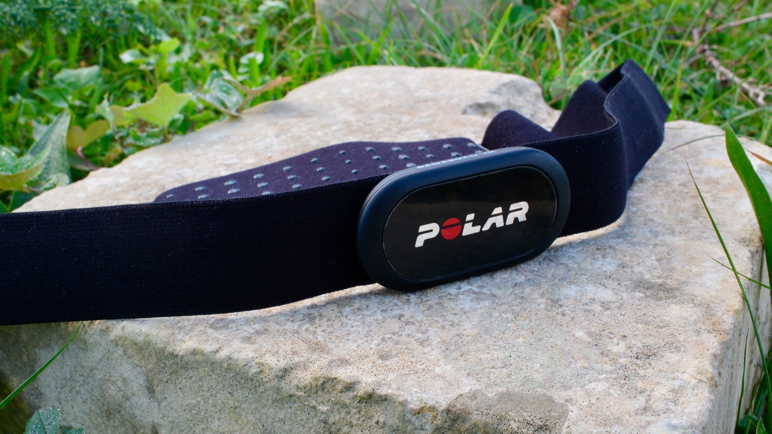 Polar H10 heart monitor review: Accurate, lightweight and easily ...