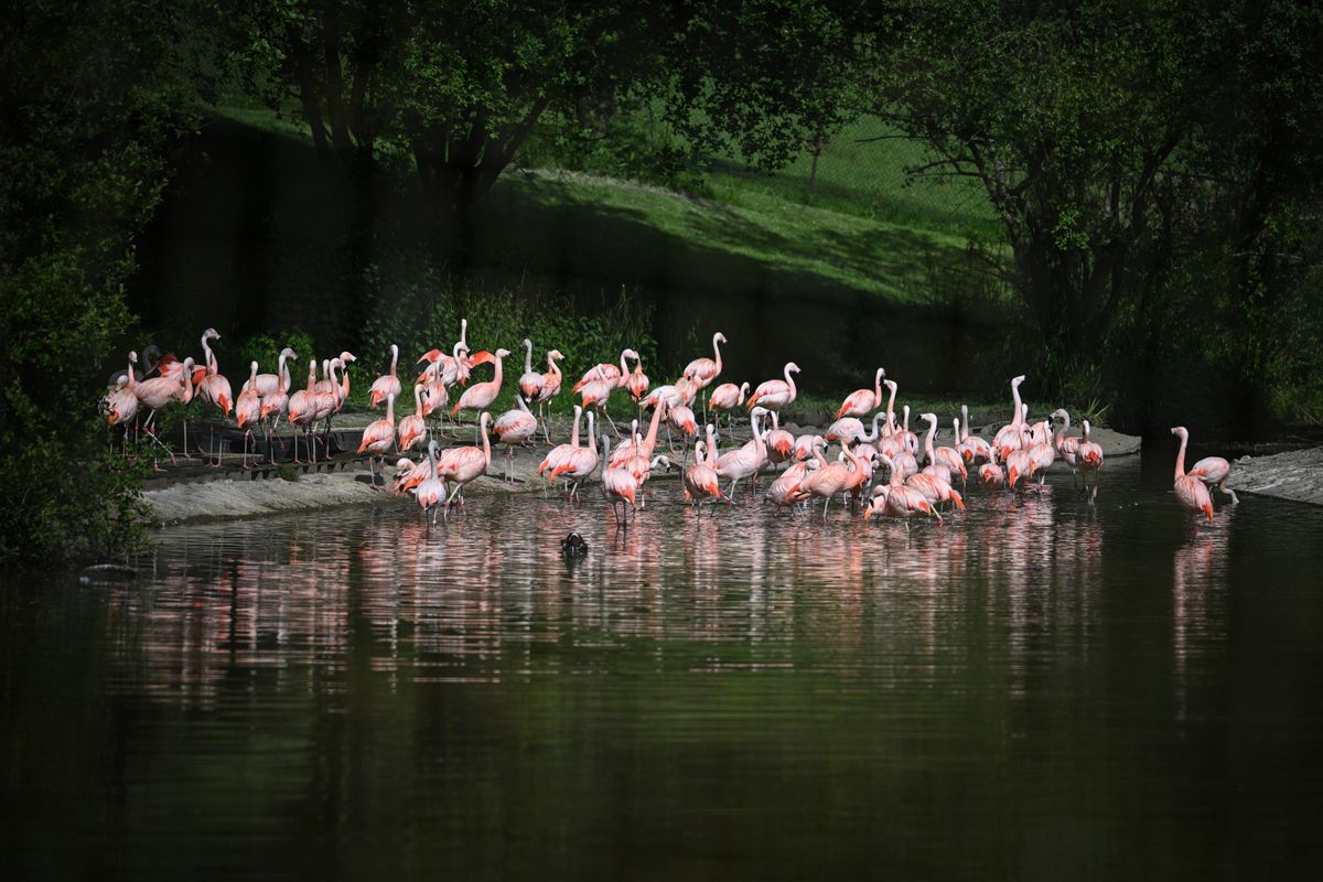 Nikon Z8 review | Digital Camera World