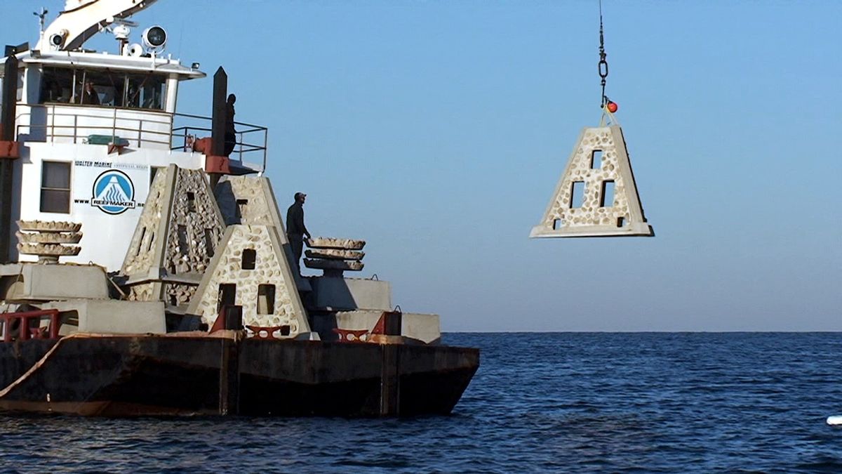 12 Outstanding Artificial Reefs to Visit | Live Science