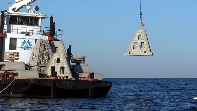12 Outstanding Artificial Reefs to Visit | Live Science