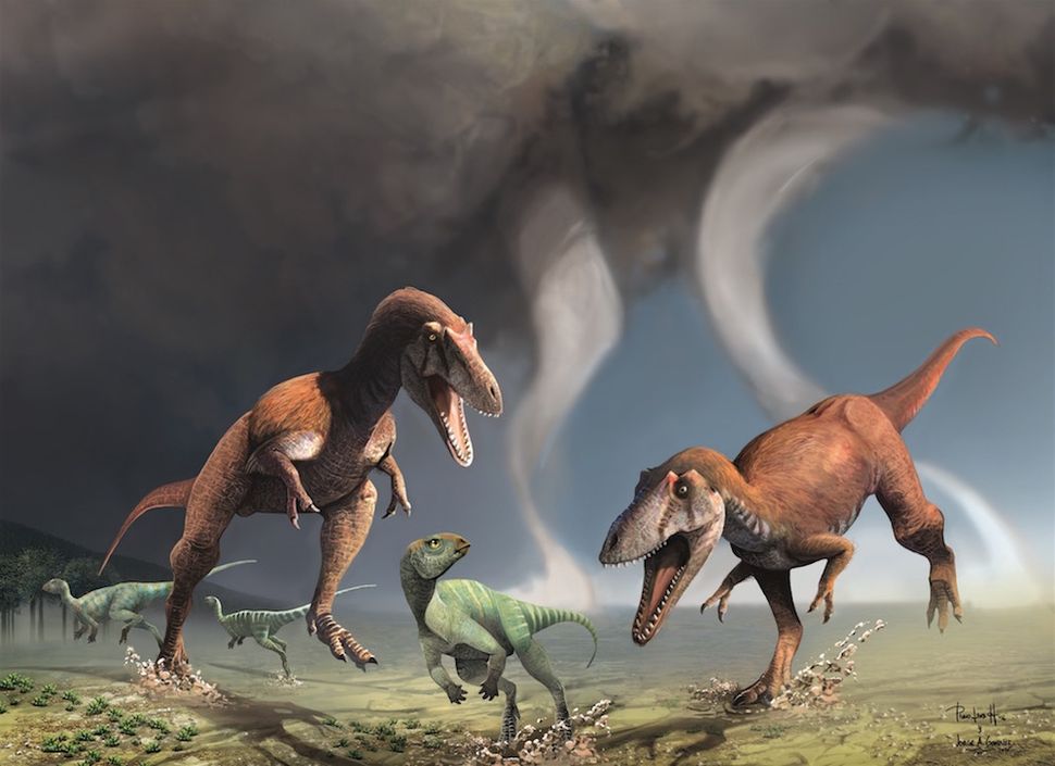 Photos: Newfound dinosaur had tiny arms, just like T. rex | Live Science