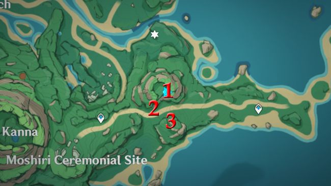 How to clear Tsurumi mist: Perch puzzle and feather locations in ...