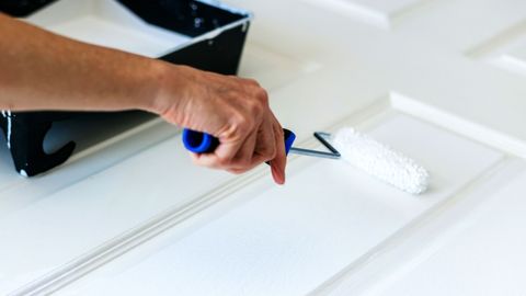 How to paint a panel door: Pro tips for the perfect finish | Homebuilding