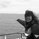 How many tectonic plates does Earth have? | Live Science