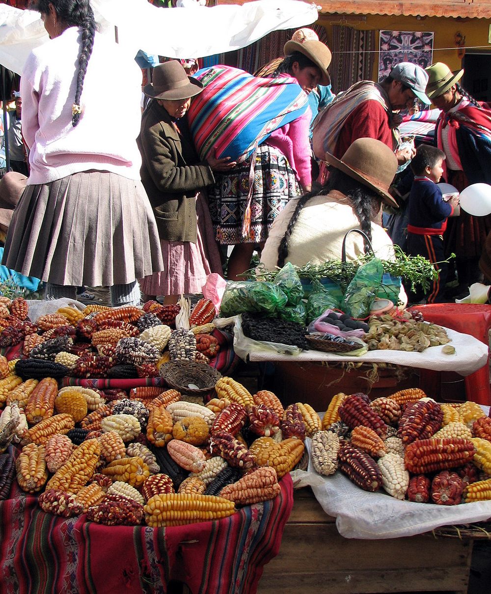 Images: Tracing the Ancient Incan Empire | Live Science