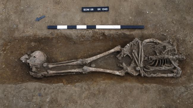 17 decapitated skeletons found at ancient Roman cemetery | Live Science