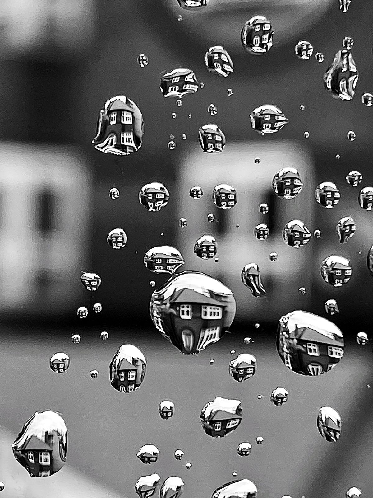 "I can usually be spotted crouching by puddles with my iPhone." Emma F ...