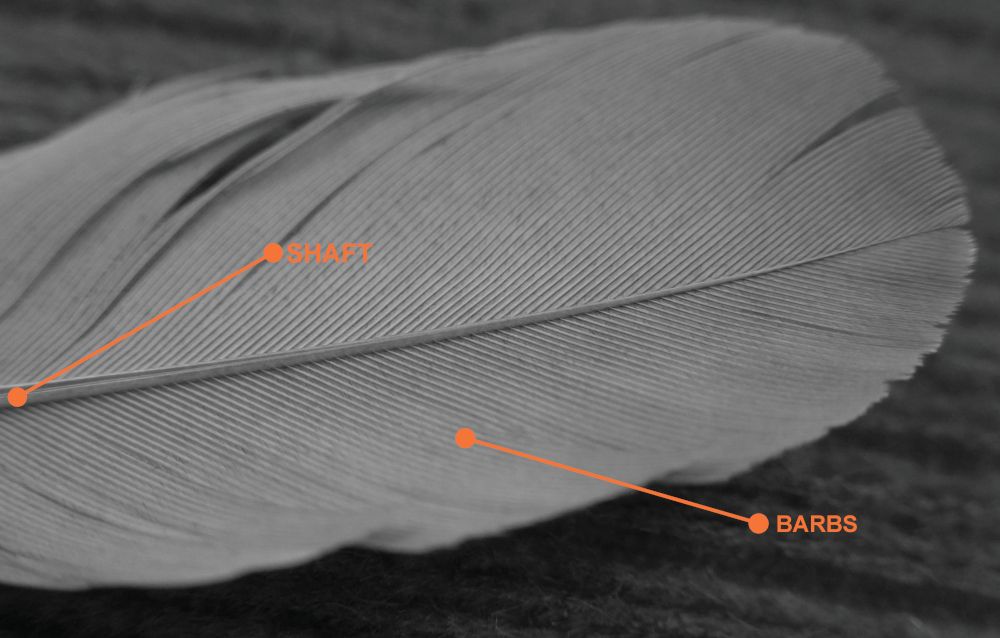 How to use Houdini's feather tool | Creative Bloq