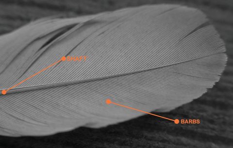 How to use Houdini's feather tool | Creative Bloq