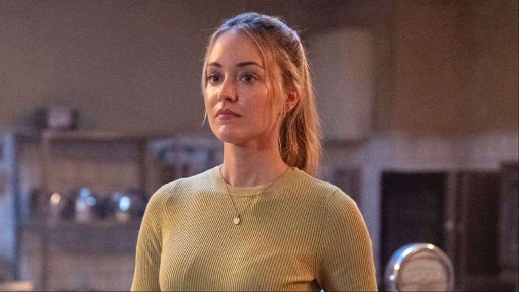 Ahead Of FBI: International's Dangerous Undercover Episode, Star ...