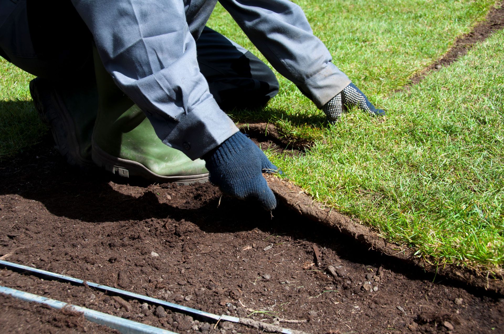What is the best time to lay turf — plus, can you lay it all year ...